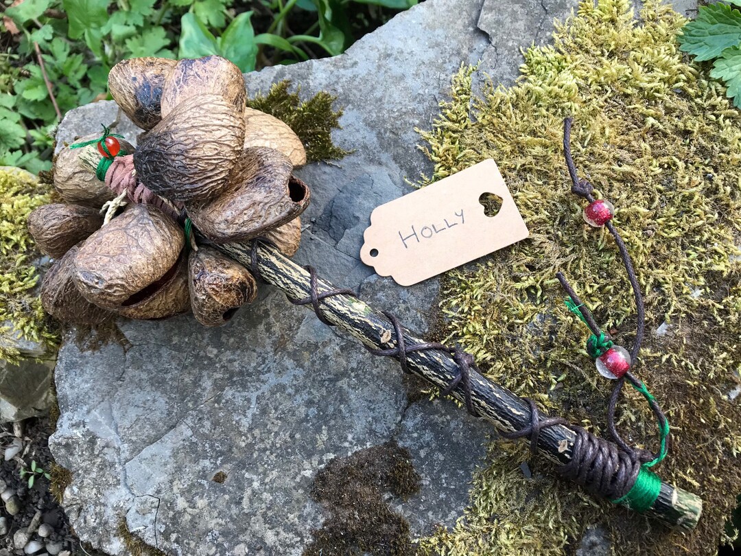 HOLLY RATTLE Seed Pod Shaker Protection Tapar Calabash Beech Wood ...