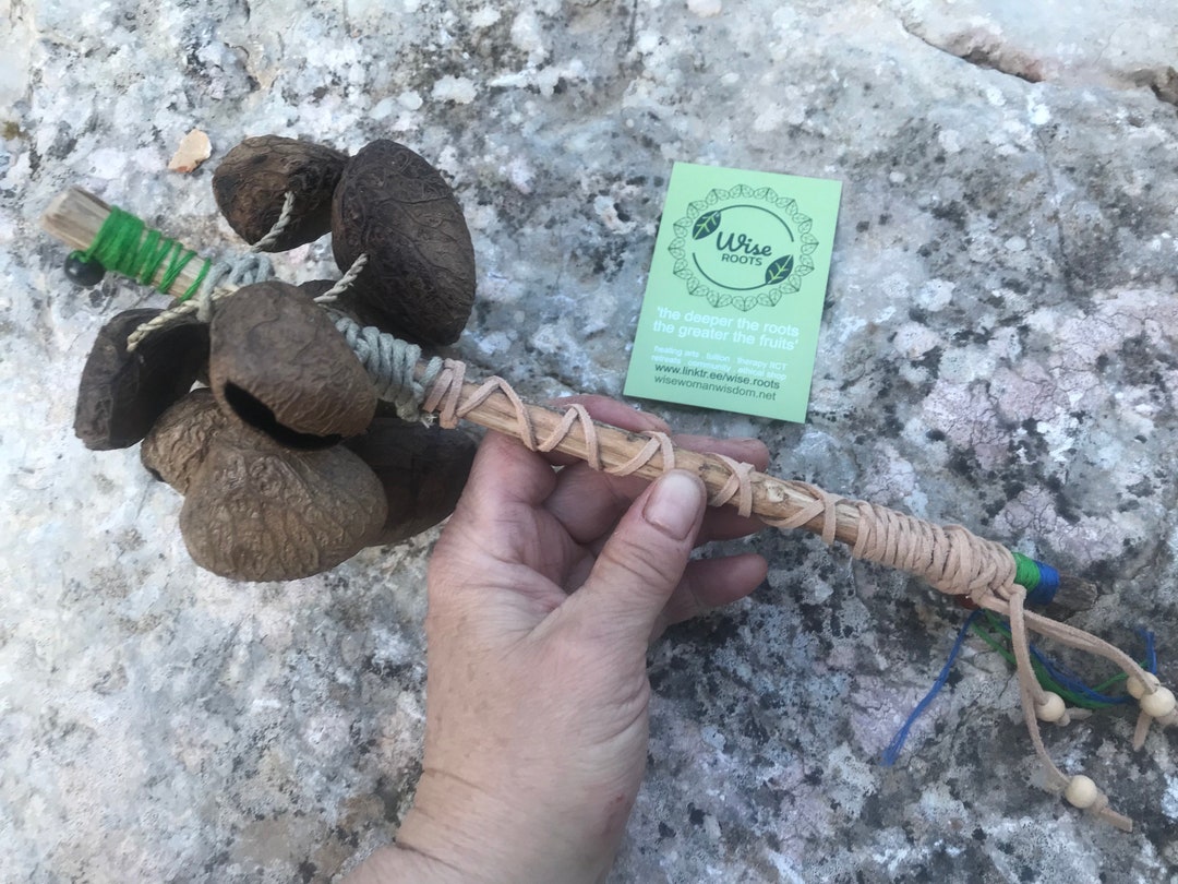OAK RATTLE Seed Pod Shaker Protection Tapar Calabash Beech Wood ...