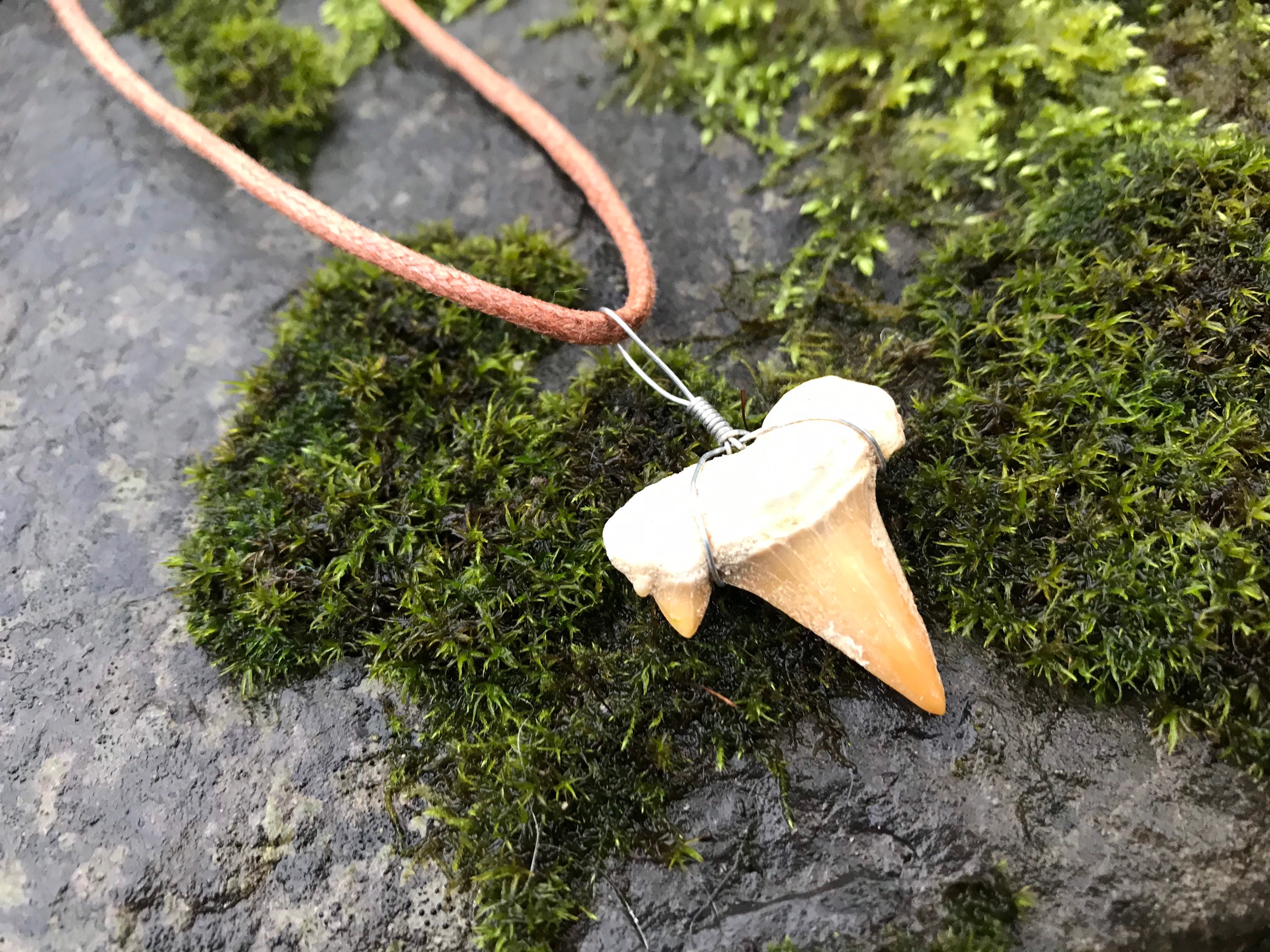 FOSSILISED SHARK TOOTH Pendant Silver Wire Wrap Point Talisman - Etsy UK
