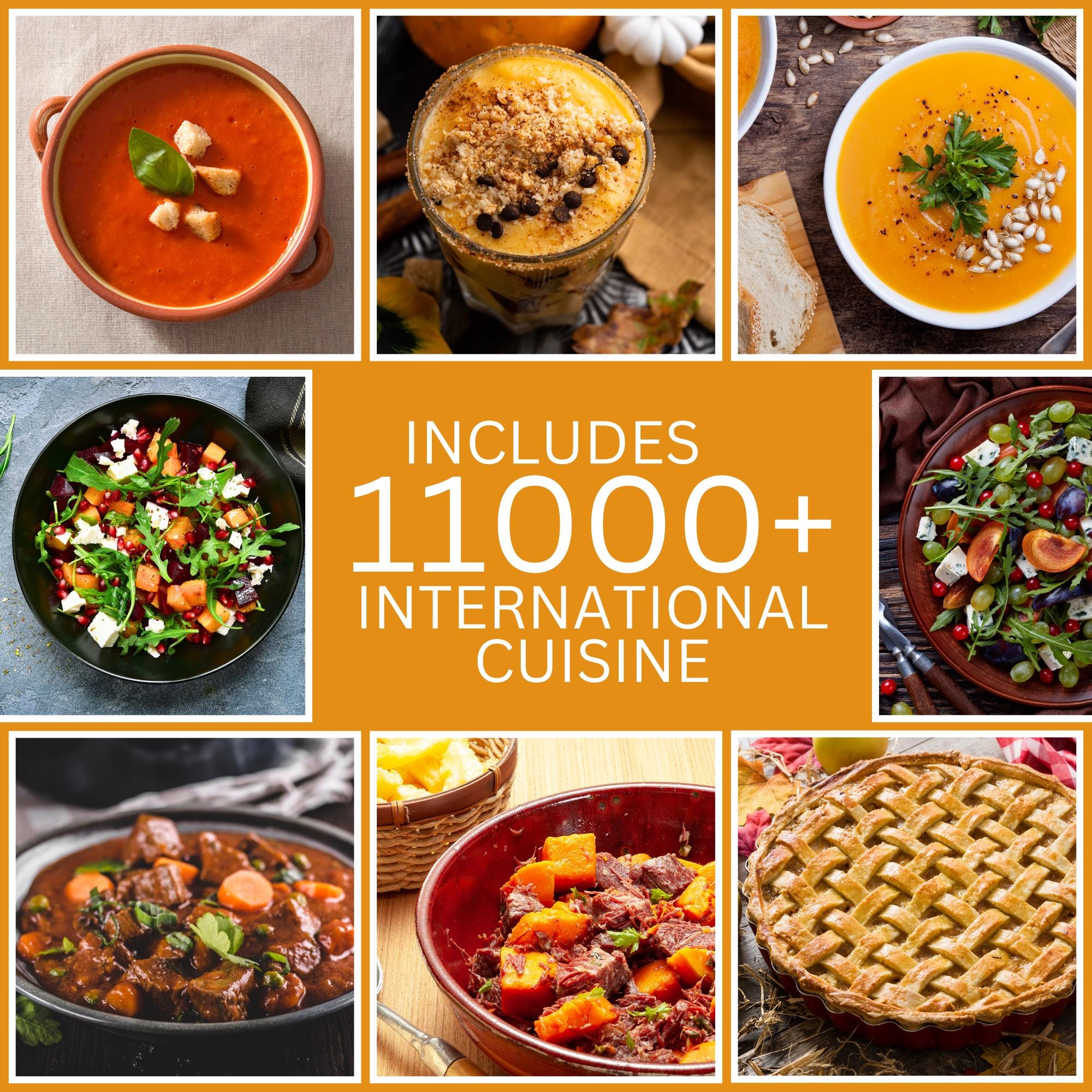 12,000 Recipe Ebook With Bonus Recipe Pics Bundle Healthy, Quick Meals ...