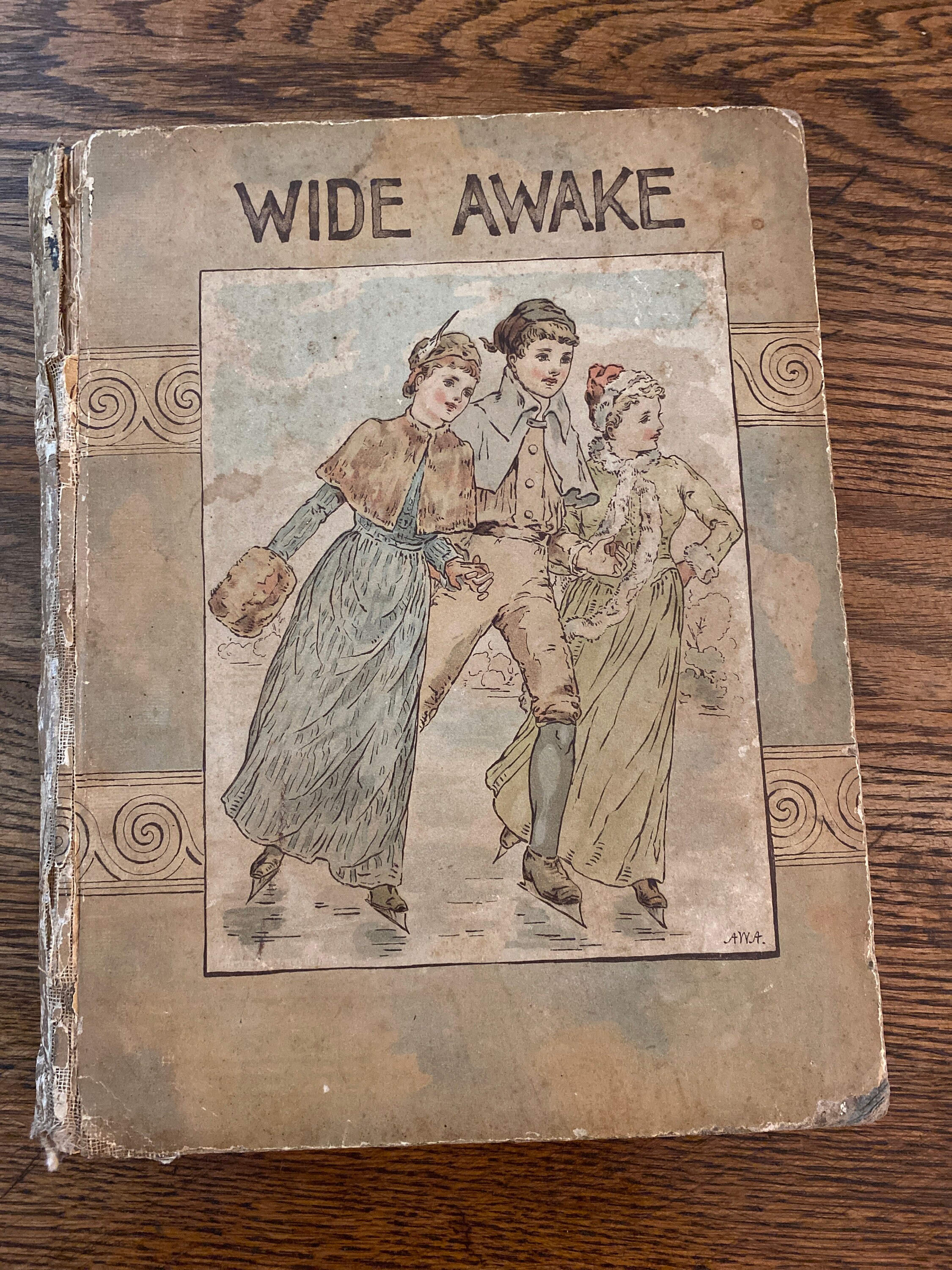 Wide Awake Novel