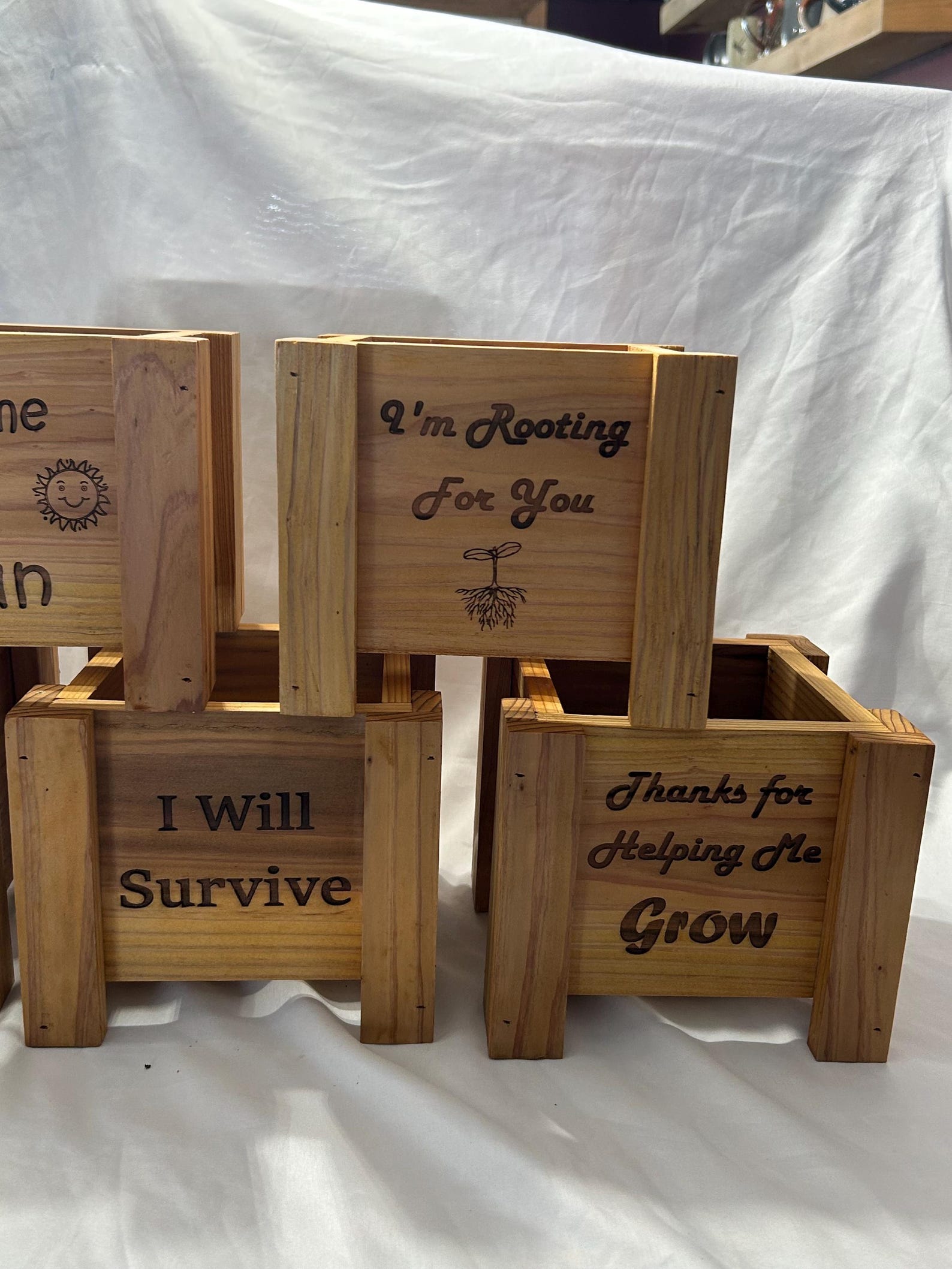 Rustic Cedar Mini Planter Box With Punny Engravings - Etsy