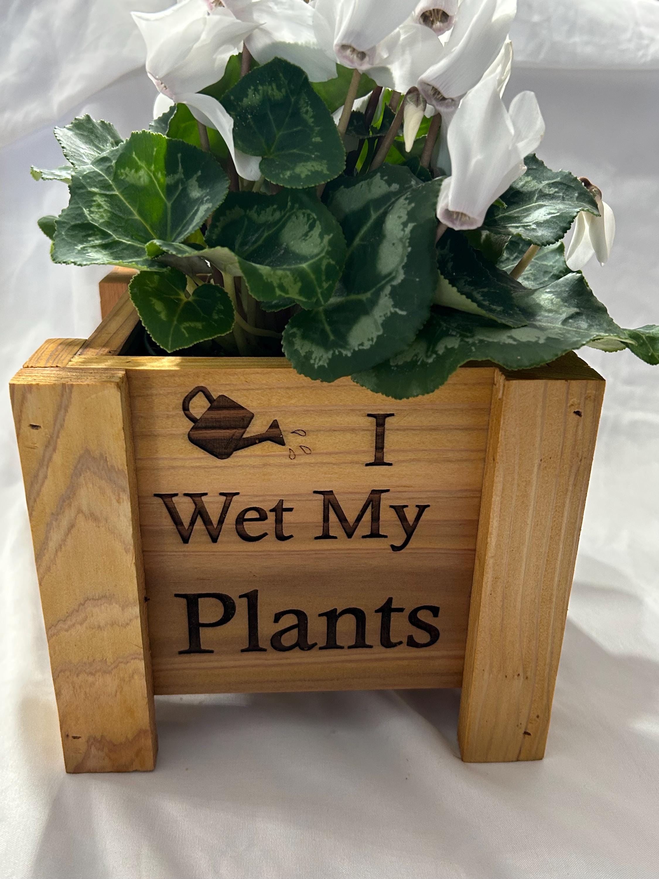 Rustic Cedar Mini Planter Box With Punny Engravings - Etsy