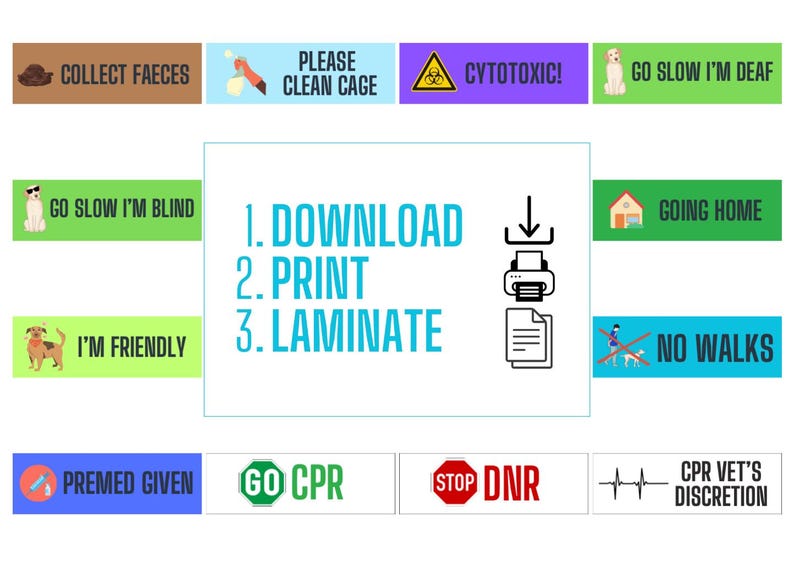 Veterinary Kennel Signs Colourful Cage Cards Digital and Customisable X ...