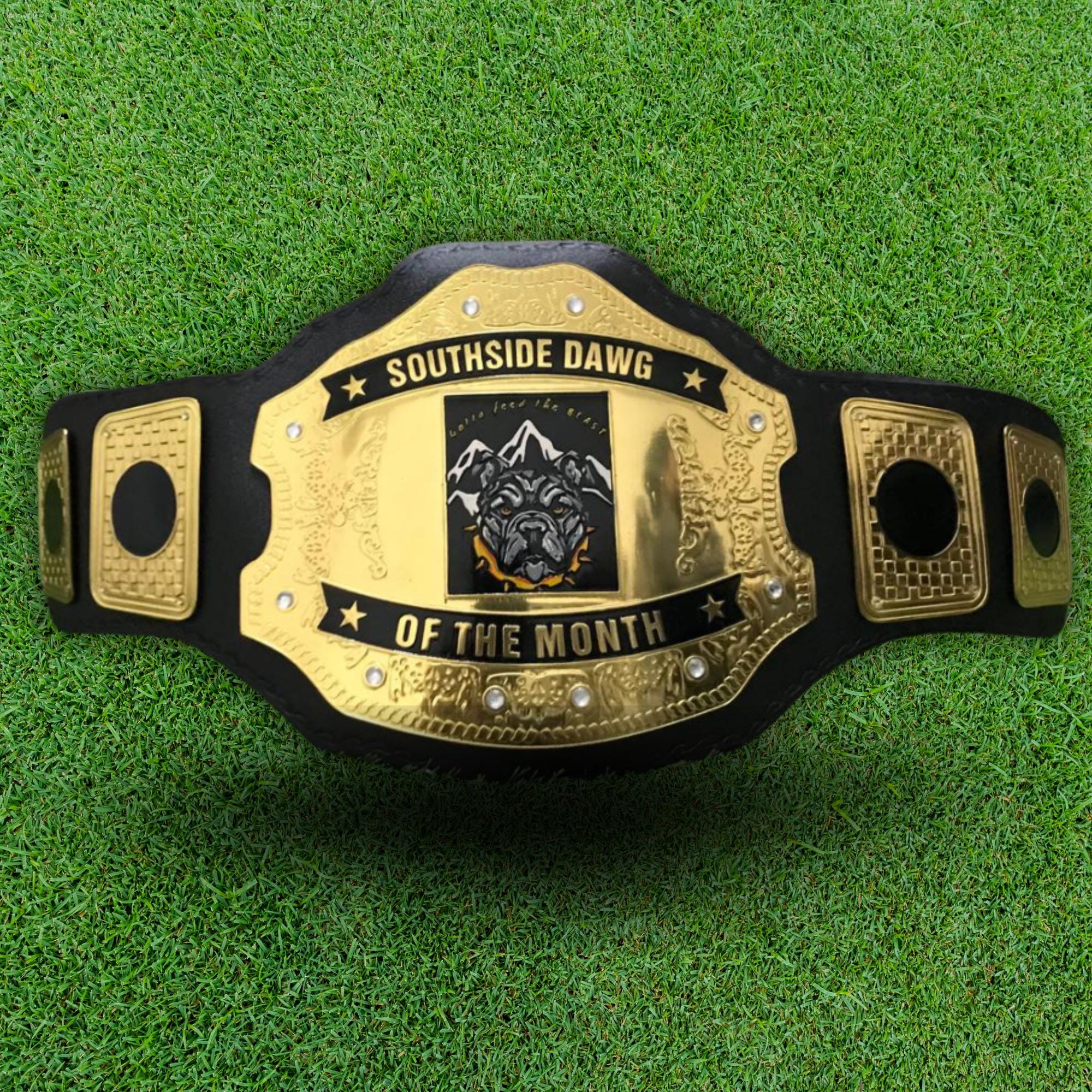 Custom Championship Belt - Customizable Wrestling Belt for Award Sports ...