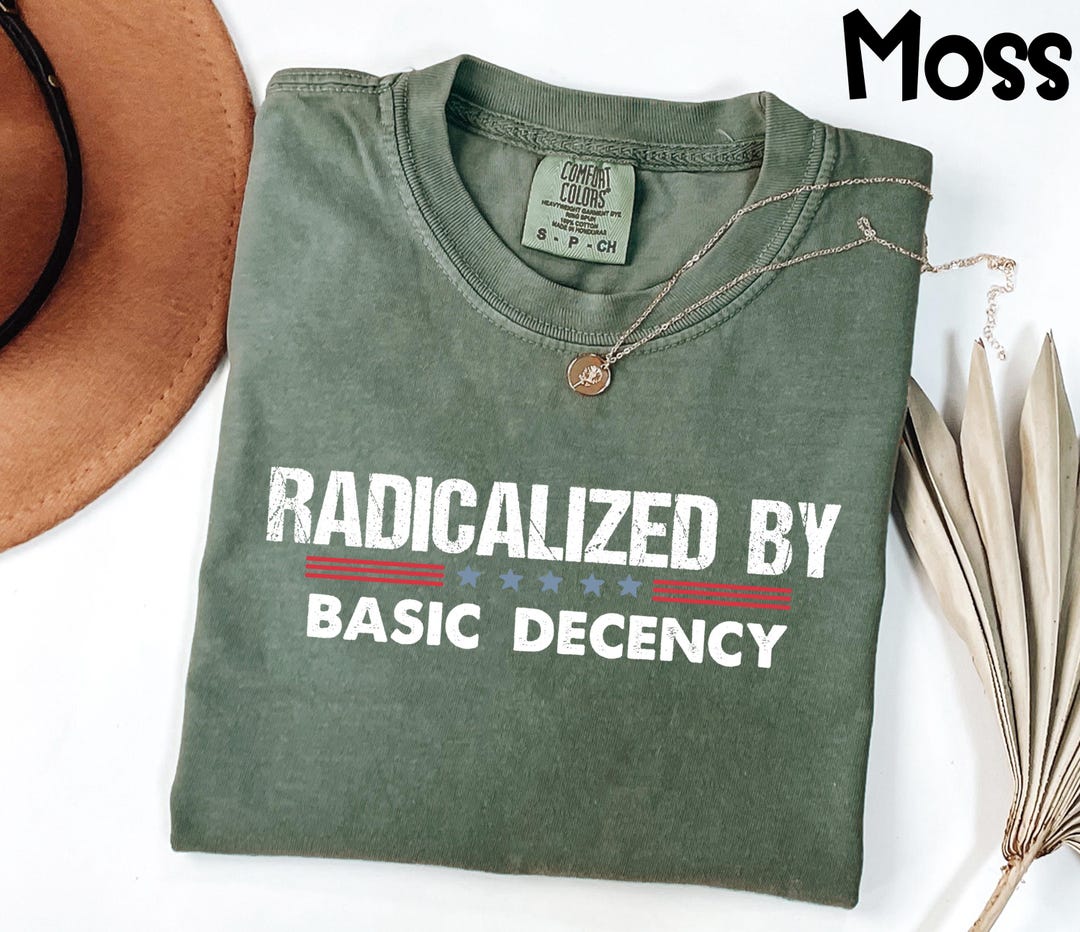Comfort Colors® Radicalized by Basic Decency T Shirt Social Justice ...
