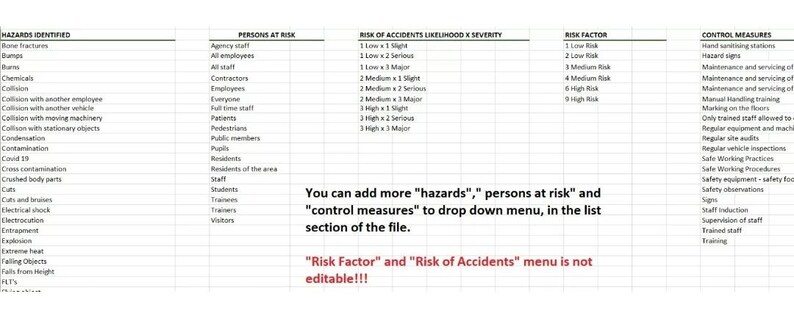 Editable Risk Assessment Template - Etsy