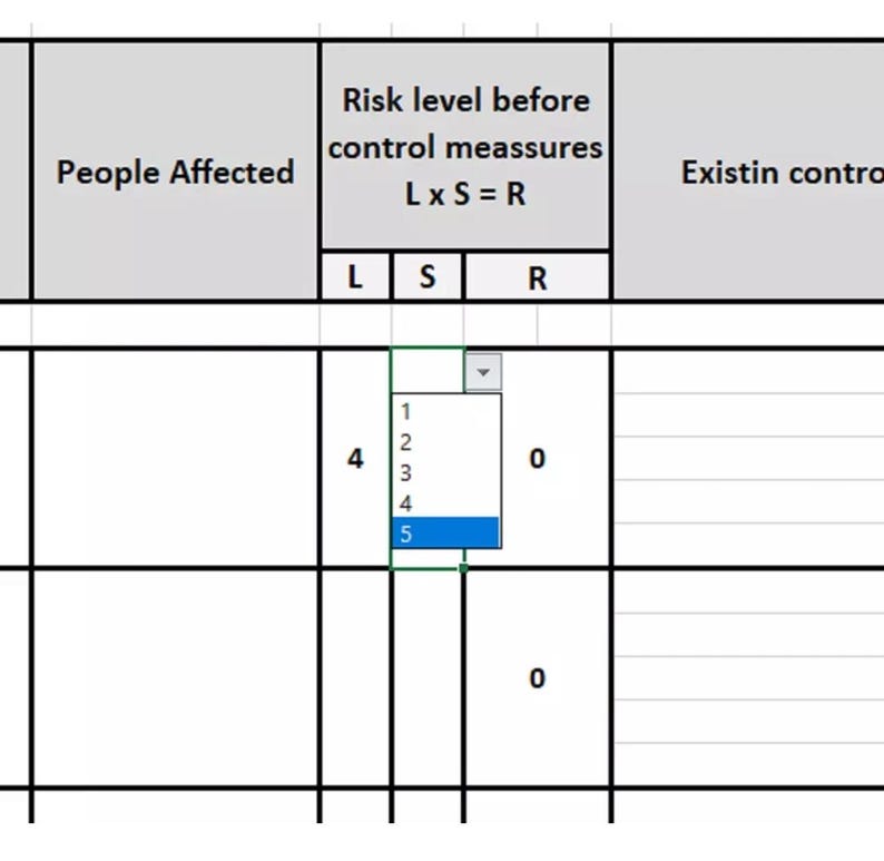 Editable Risk Assessment Template V2.0 - Etsy Australia