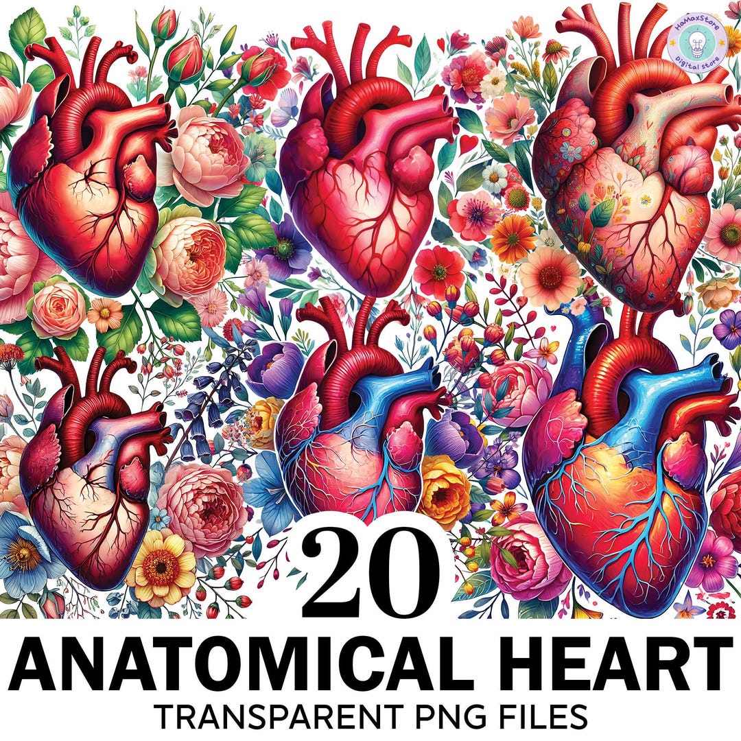 Watercolor Anatomical Heart Clipart, 20 PNG Floral Heart Clipart ...