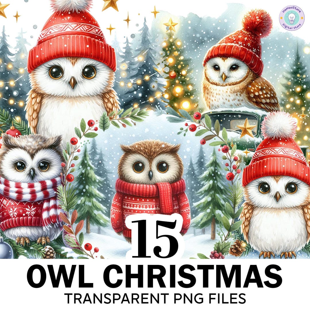 Watercolor Christmas Owl Clipart, 15 PNG Animal Christmas Clipart ...