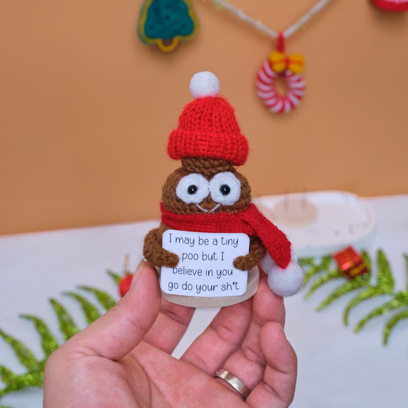 Positive Poo Crochet Christmas, Handmade Crochet, Custom Poo Gift ...