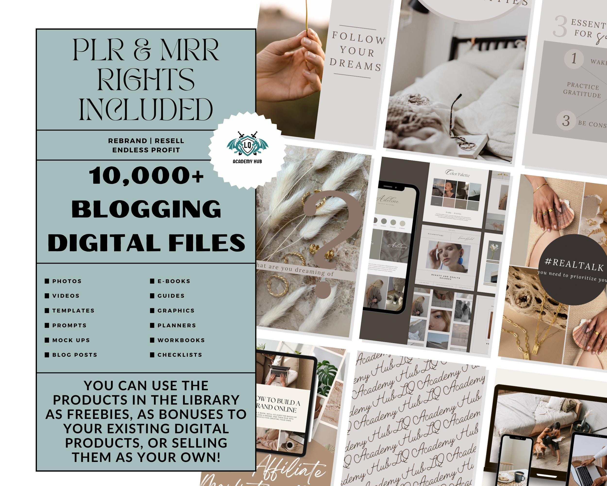 10K Blogging PLR Vault | the Ultimate Resell Rights Bundle for Bloggers & Creators - Etsy