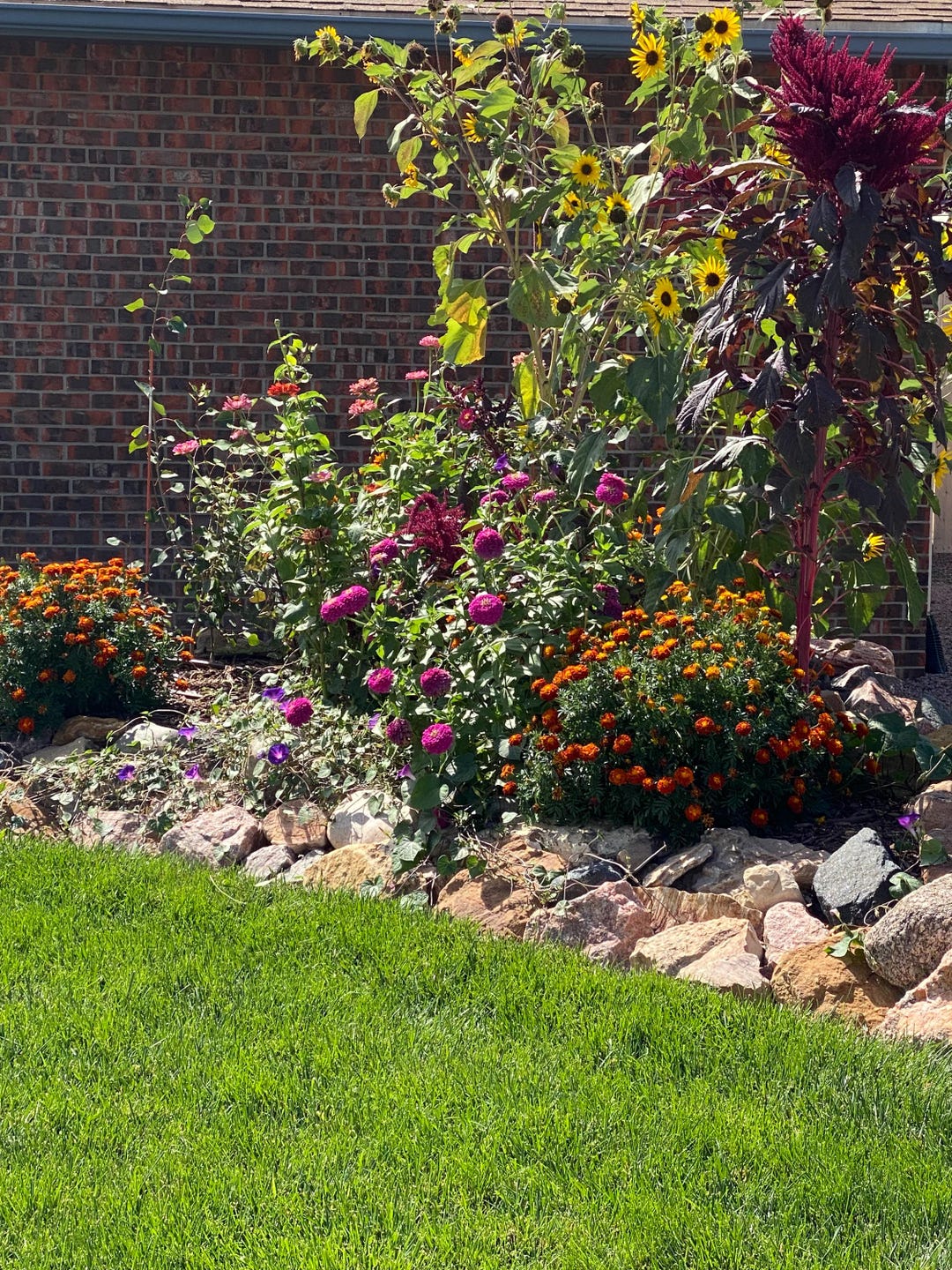 Pollinator Patches Attract Bees, Butterflies, and Birds to Visit Your ...