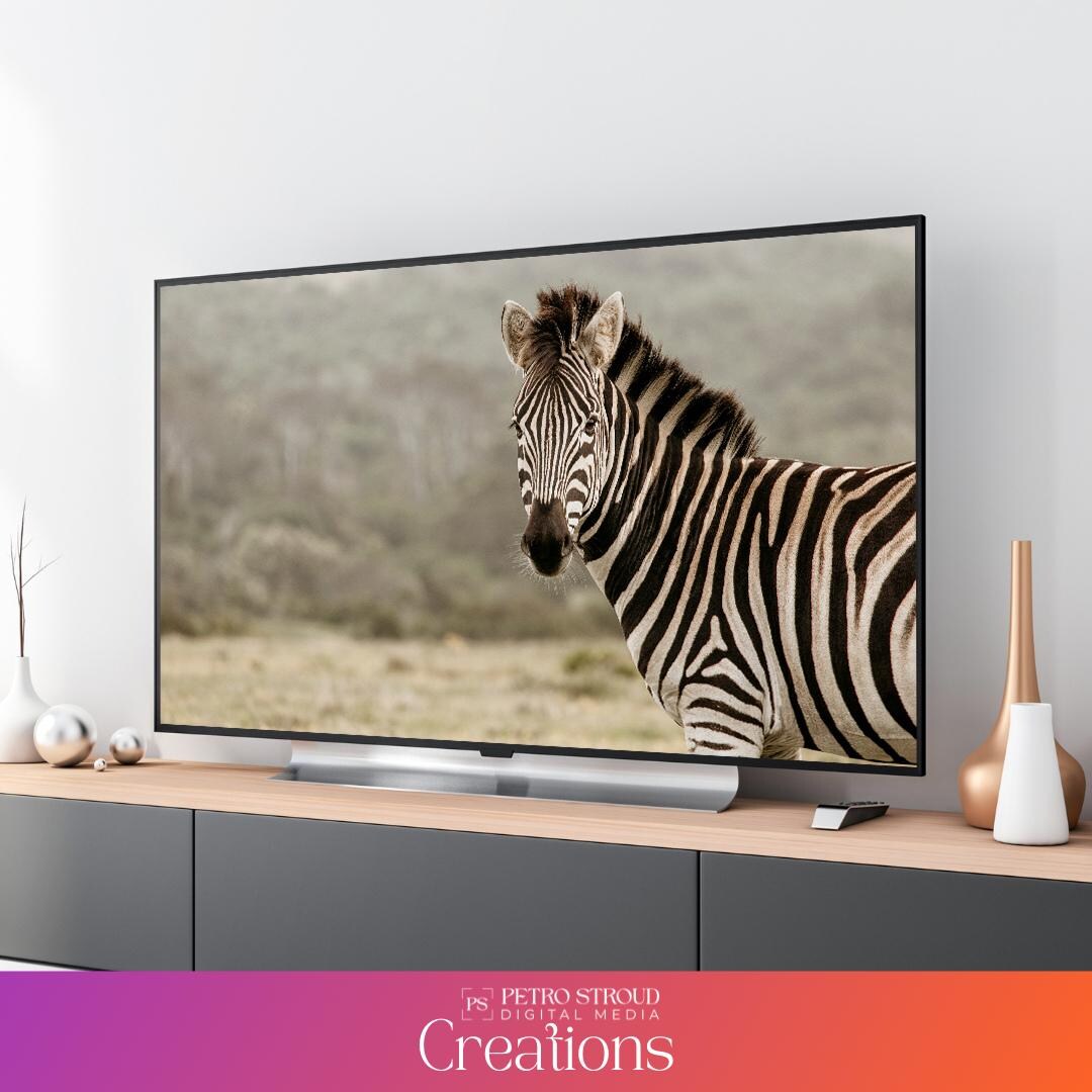 Zebra Photo Digital Download for Samsung Frame TV Art | African ...