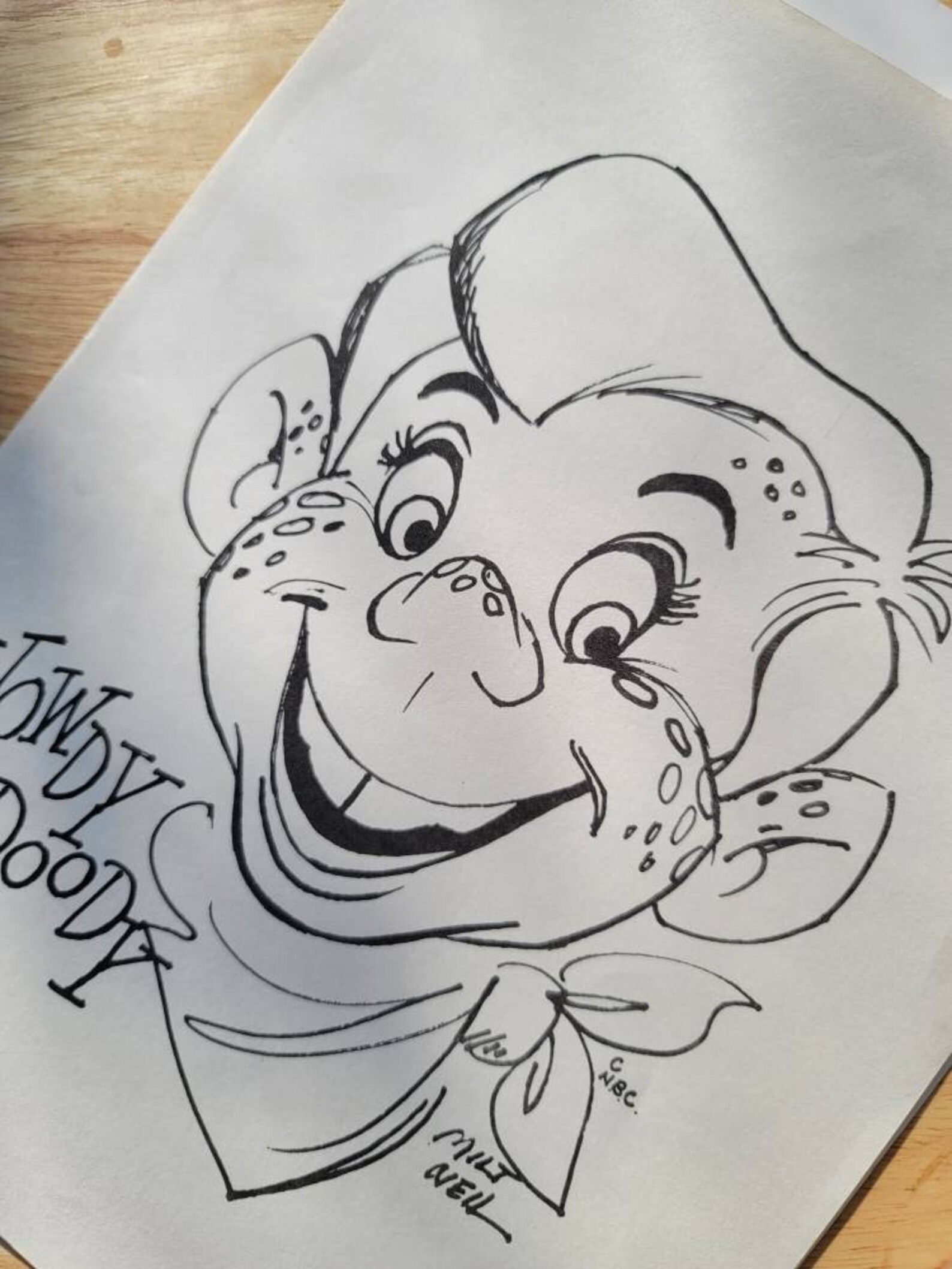 Hand Drawn Howdy Doody Portrait Signed by Milt Neil | Etsy
