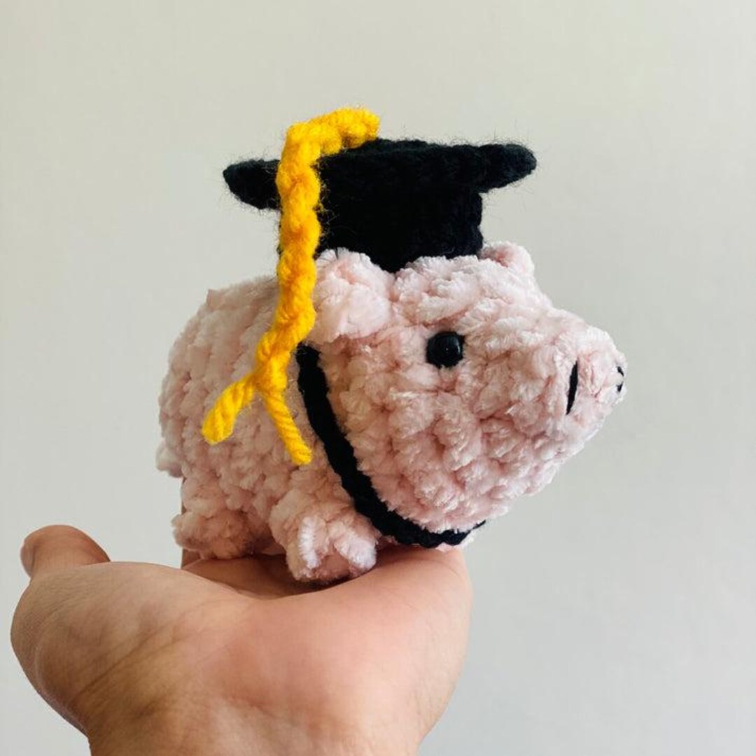 Mini Pig With Graduation, Handmade Graduation Gift - Etsy