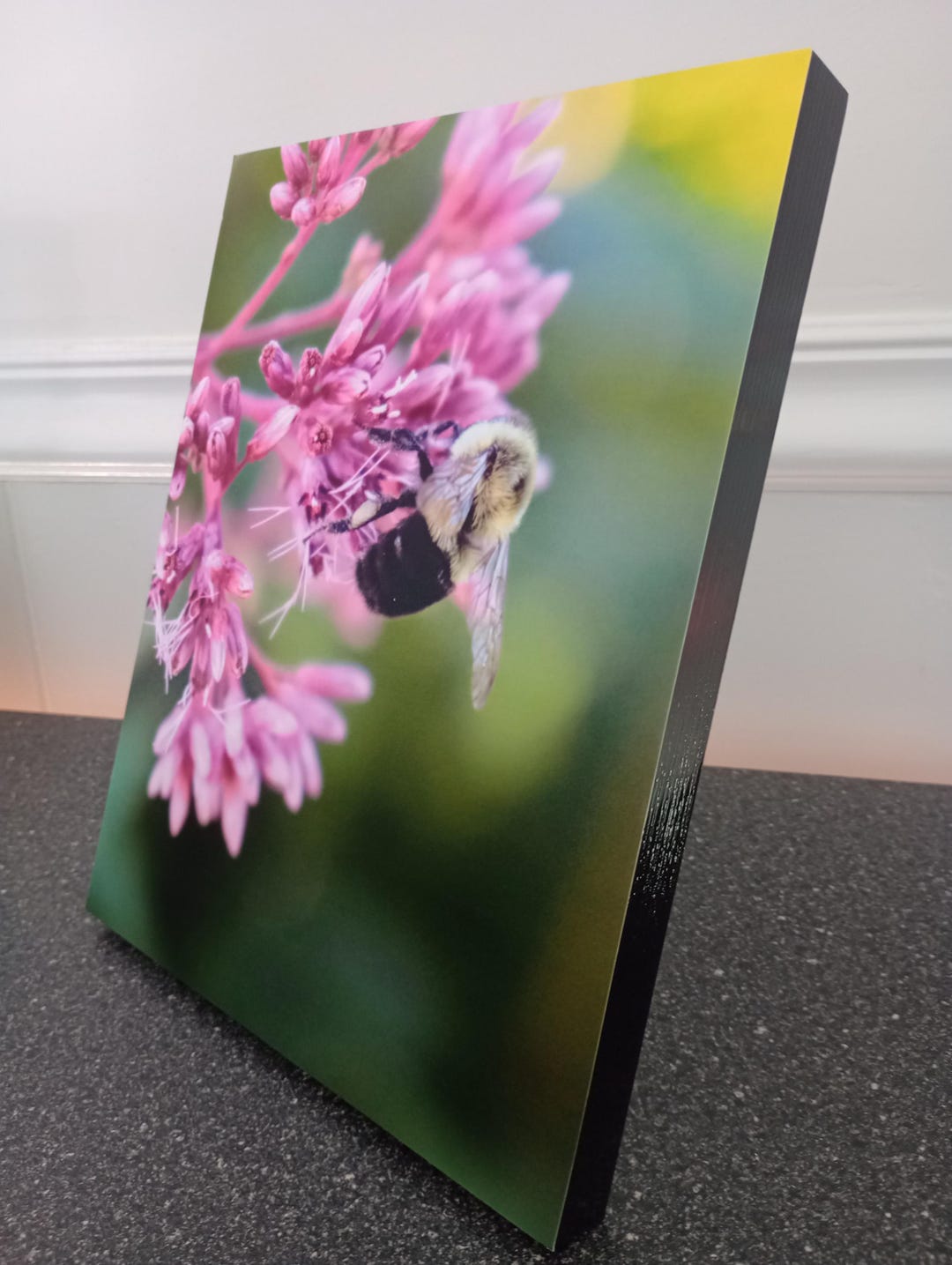 8"x10" Mounted Print Bumble Bee on a Flower - Etsy