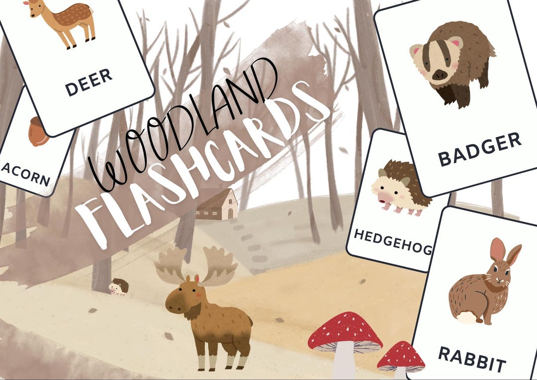 Woodland Animal Flashcards - Etsy