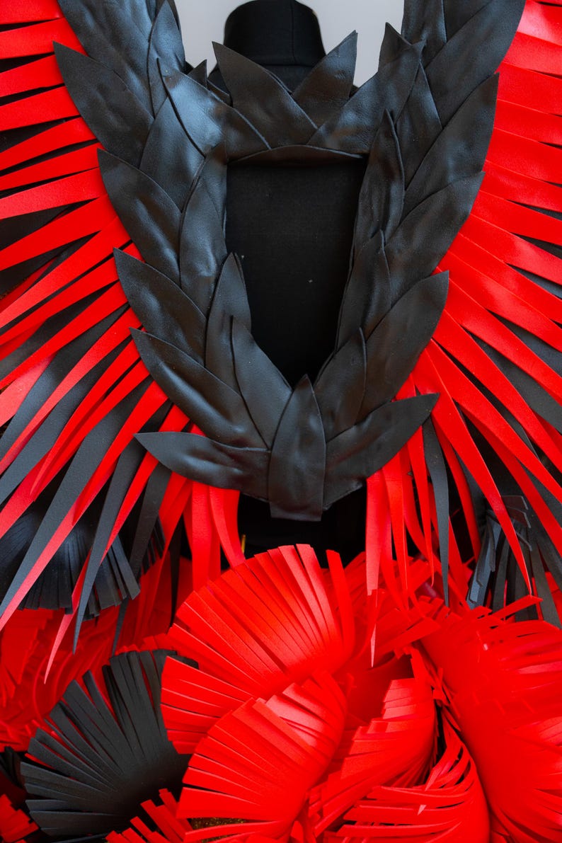 Red Samba Dance Costume, Trinidad Carnival, Caribbean Carnival, Dance ...