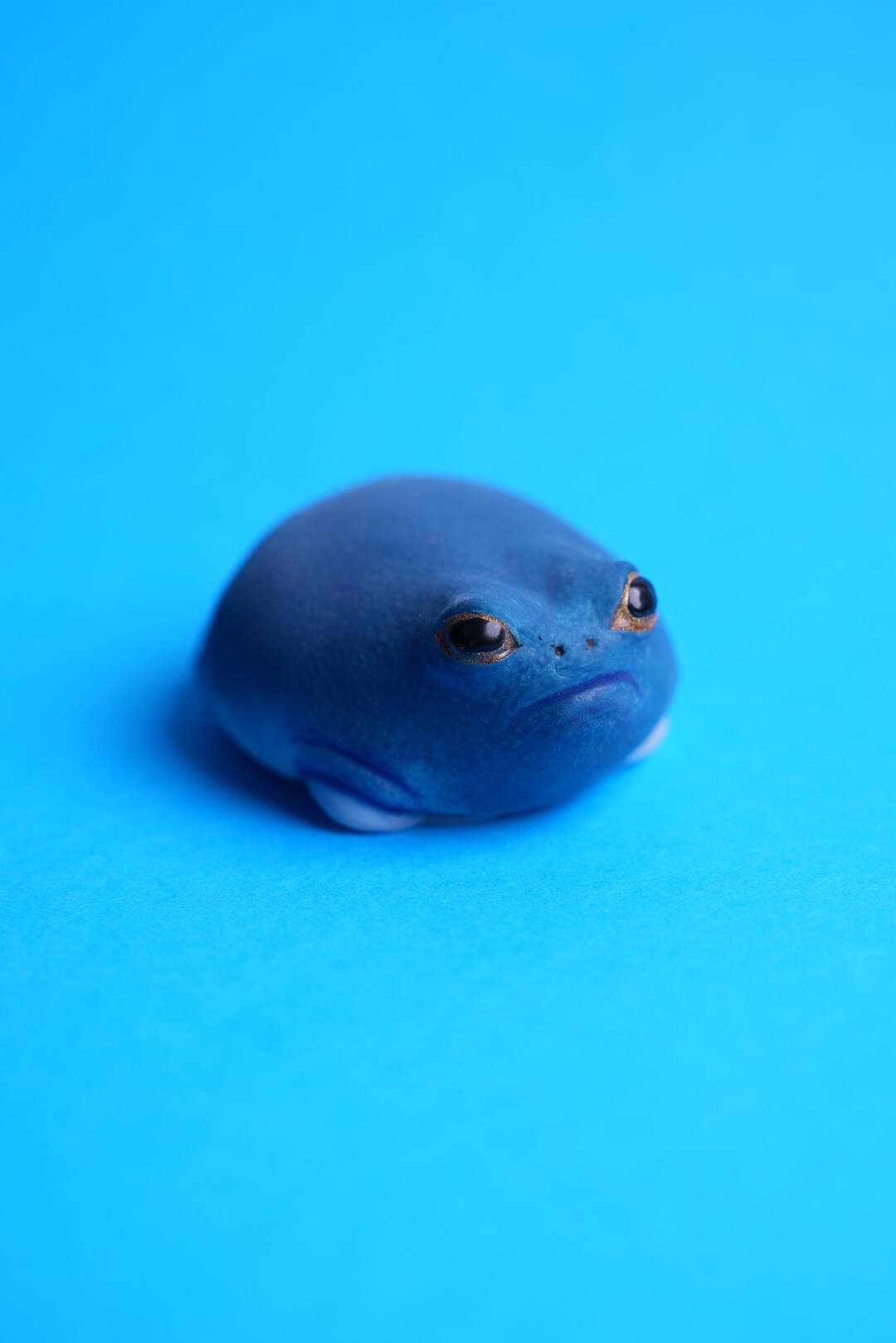 Glompy - Squishy Rain Frog BLUE - Etsy