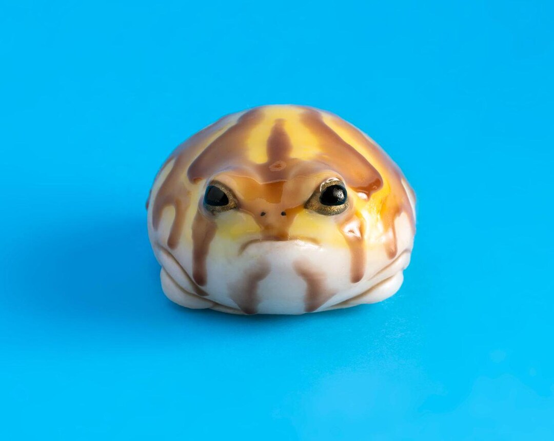 Glompy - Squishy Rain Frog - Etsy