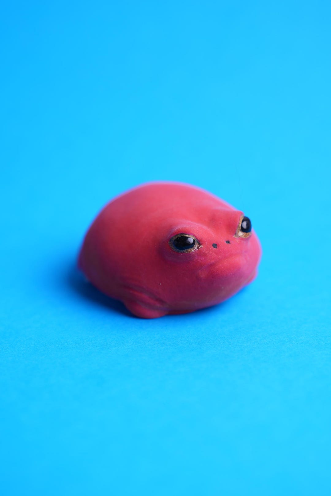 Glompy - Squishy Rain Frog RED - Etsy