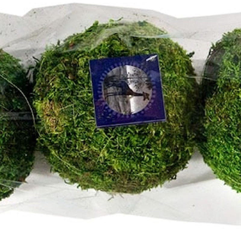 Moss Balls - Etsy
