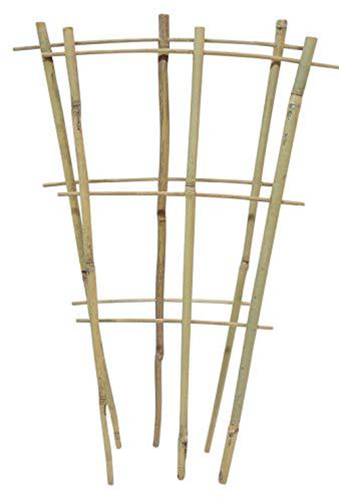 SPECIAL! Natural Color Bamboo Trellis 18 Inches Tall - Qty 25 - Etsy