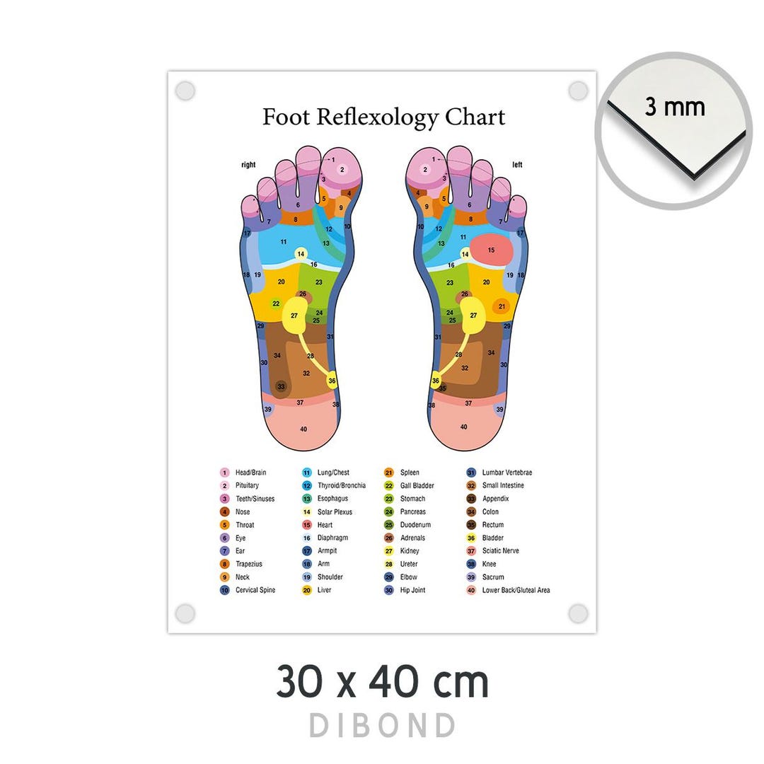 Dibond Wall Board With Drill Holes | Foot Reflexology Chart | 30 X 40 ...