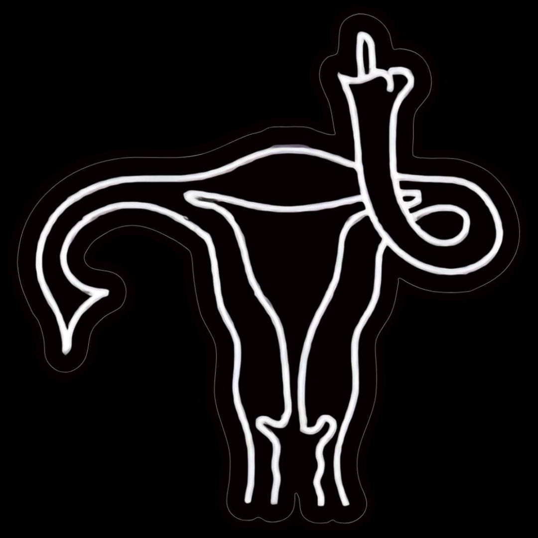 Women's Rights Sticker - Etsy