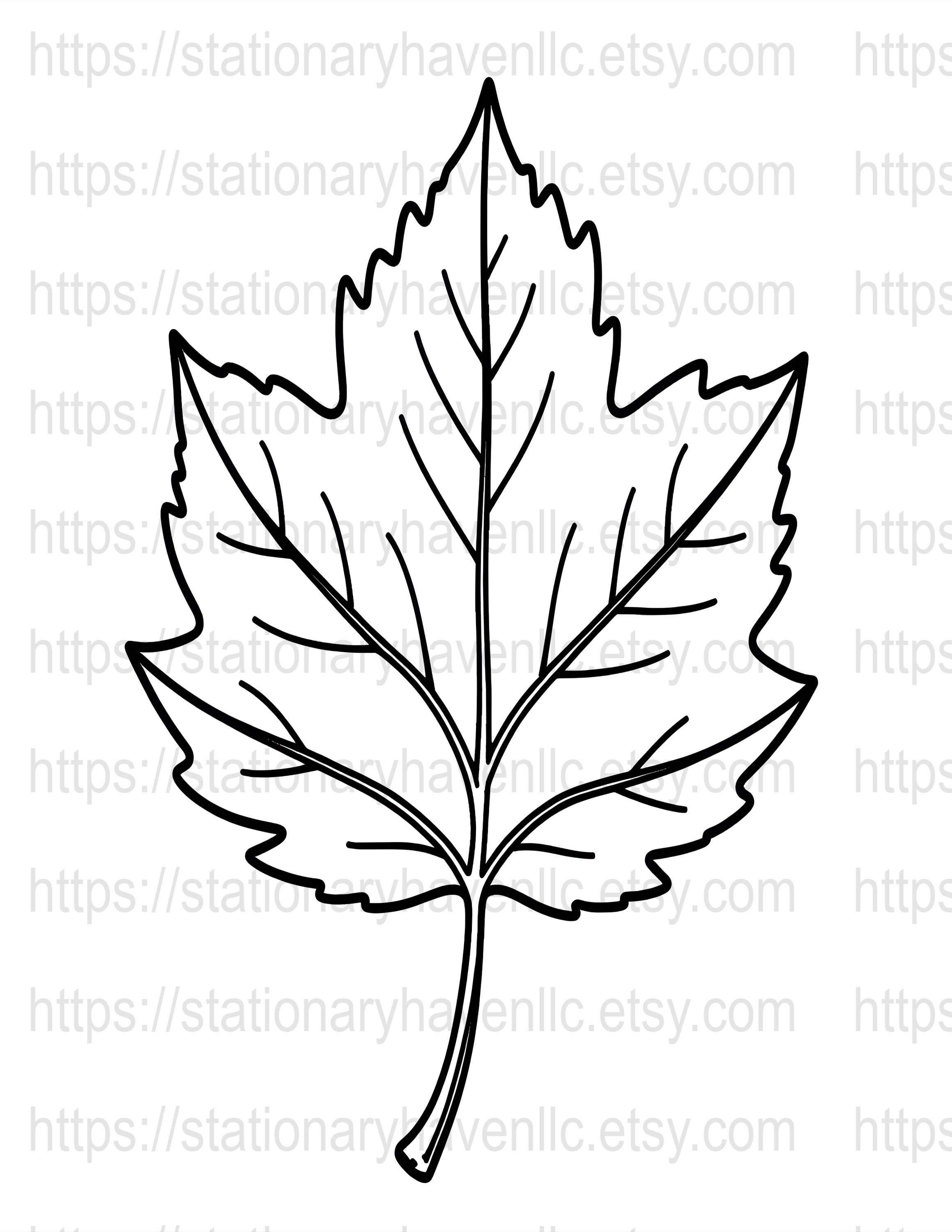 20 Maple Leaf Coloring Pages, Printable Autumn Coloring Sheets, Fall ...