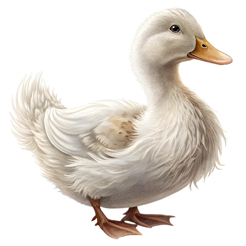 20 Duckling Clipart Collection | 300 DPI 5000x5000 | PNG Instant ...