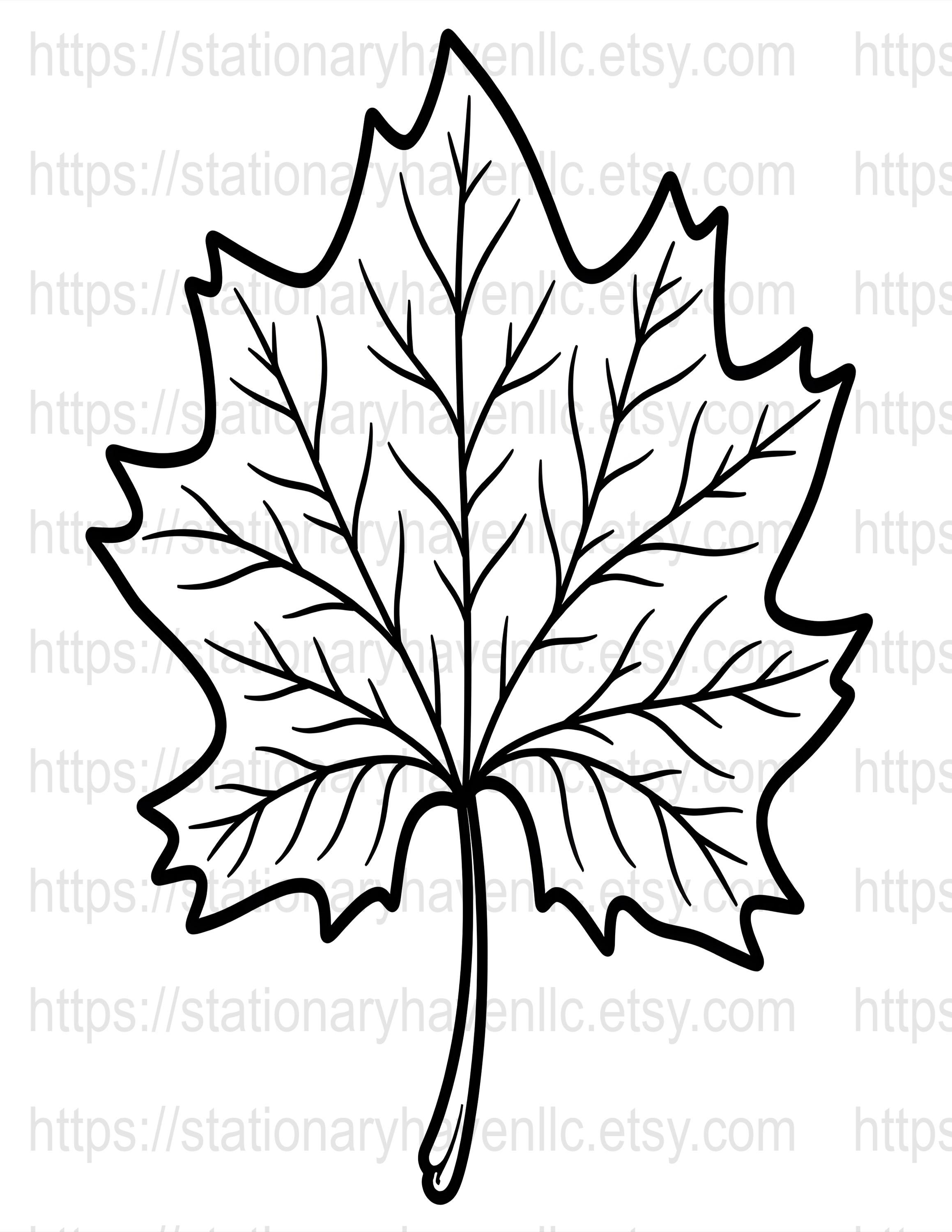 20 Maple Leaf Coloring Pages, Printable Autumn Coloring Sheets, Fall ...