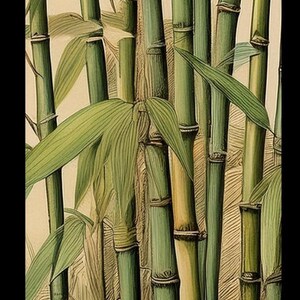 Printable Bamboo Bookmarks | 5 Digital 300 DPI Designs | Zen Nature ...