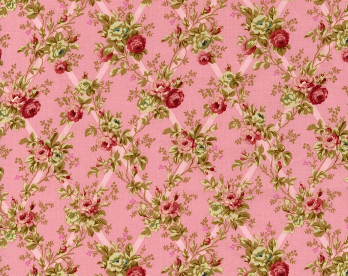 Rose Hill Lane by Robyn Pandolph for RJR Cotton Fabric 1862-2 - Etsy