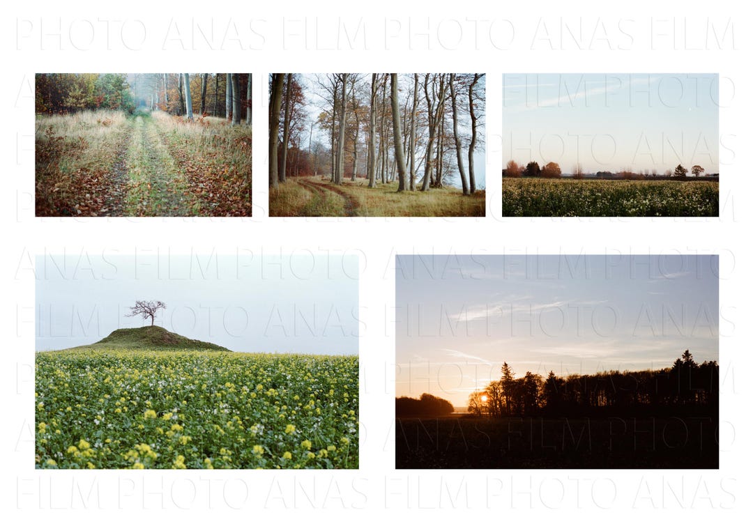 Original Film Photo Set for Download and Print I Nature Landscape Wall ...