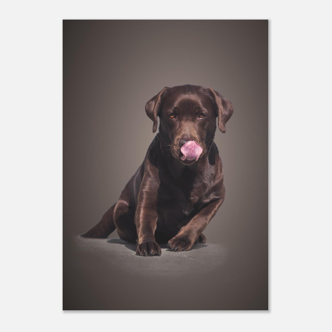 Chocolate Labrador Wall Art – Nordic Pet Fine Art Poster for Digital ...