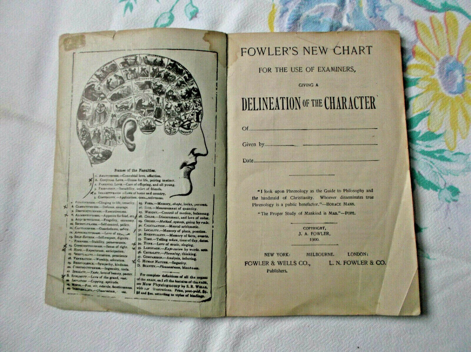 All Offers Considered Weekend Sale Antique 1900 FOWLER'S PHRENOLOGY ...