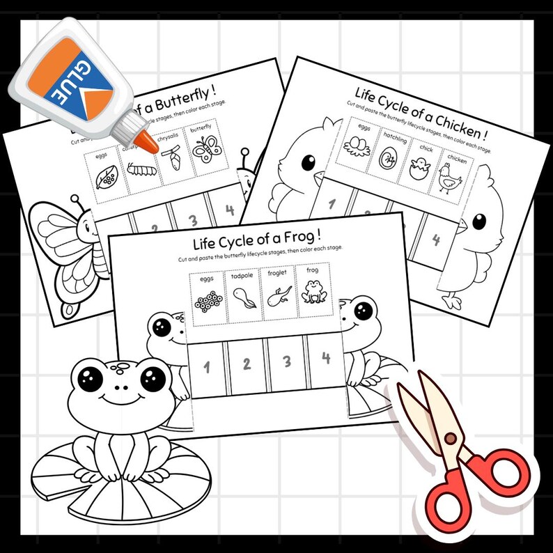 Life Cycle of a Frog Butterfly Chicken Craft Activity Science Cut Paste ...