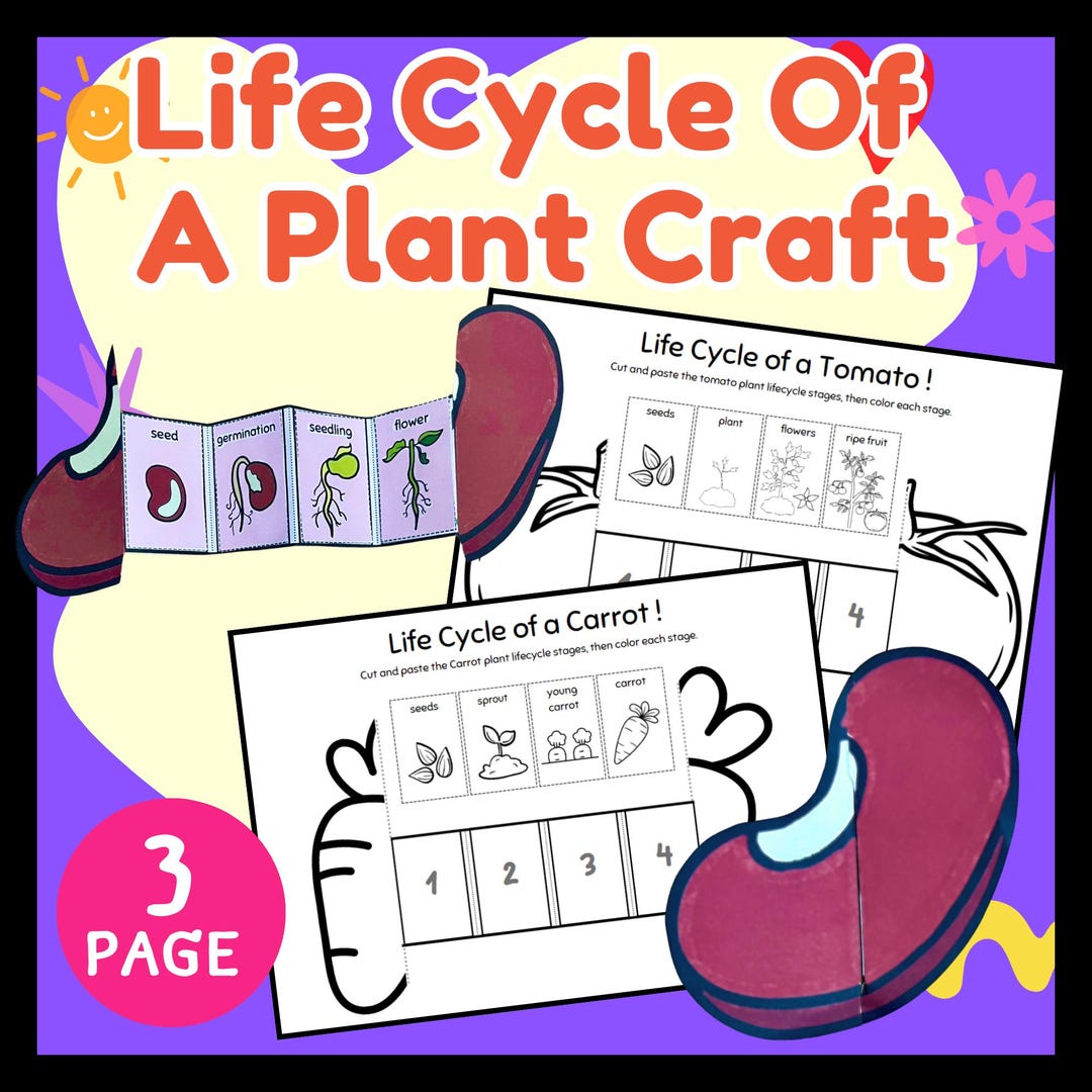 Life Cycle of a Bean Tomato Carrot Plant Craft Activity Spring Science ...