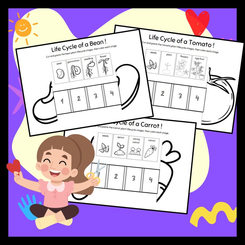 Life Cycle of a Bean Tomato Carrot Plant Craft Activity Spring Science ...