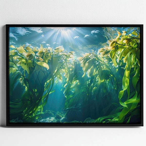 Photography Kelp - Etsy