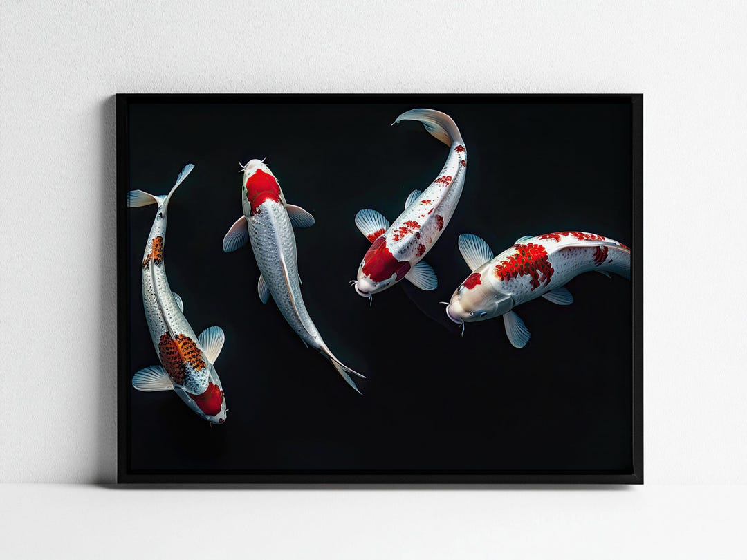 Koi Fish Digital Art Download. Living Room Wall Art, Nature Photography ...