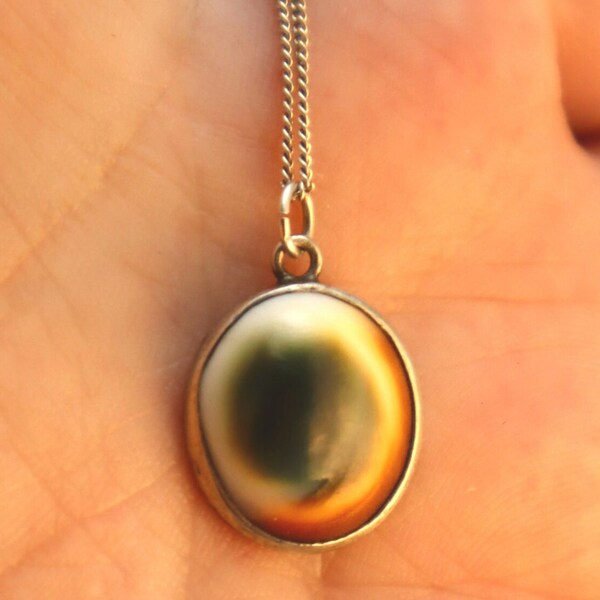 Operculum Jewelry - Etsy