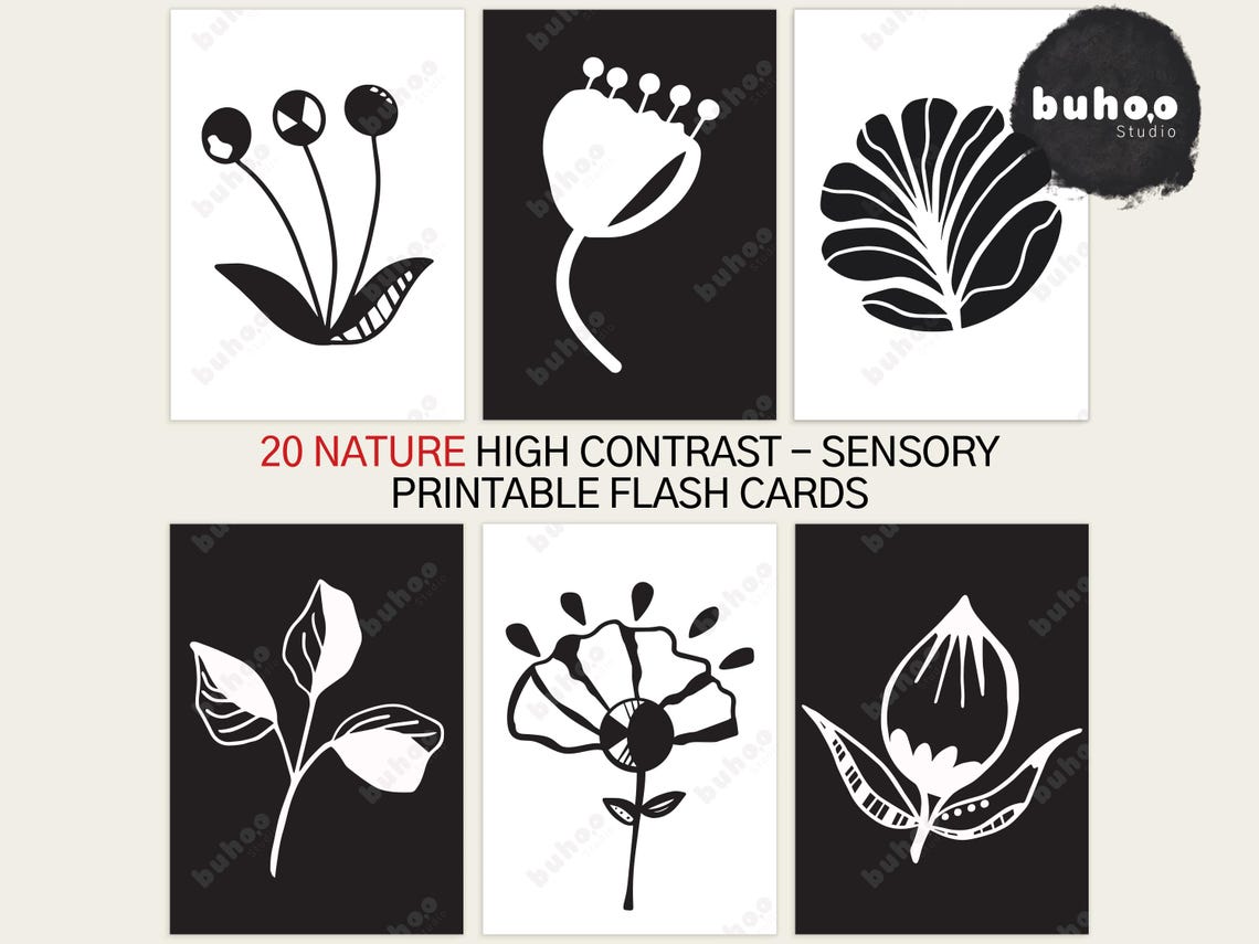 Nature Flash Cards Printable Templates / Hand Painted Montessori Cards ...