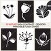 Nature Flash Cards Printable Templates / Hand Painted Montessori Cards ...