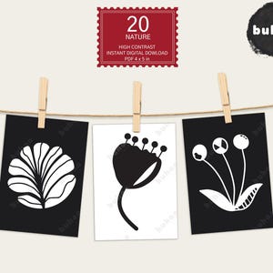 Nature Flash Cards Printable Templates / Hand Painted Montessori Cards ...