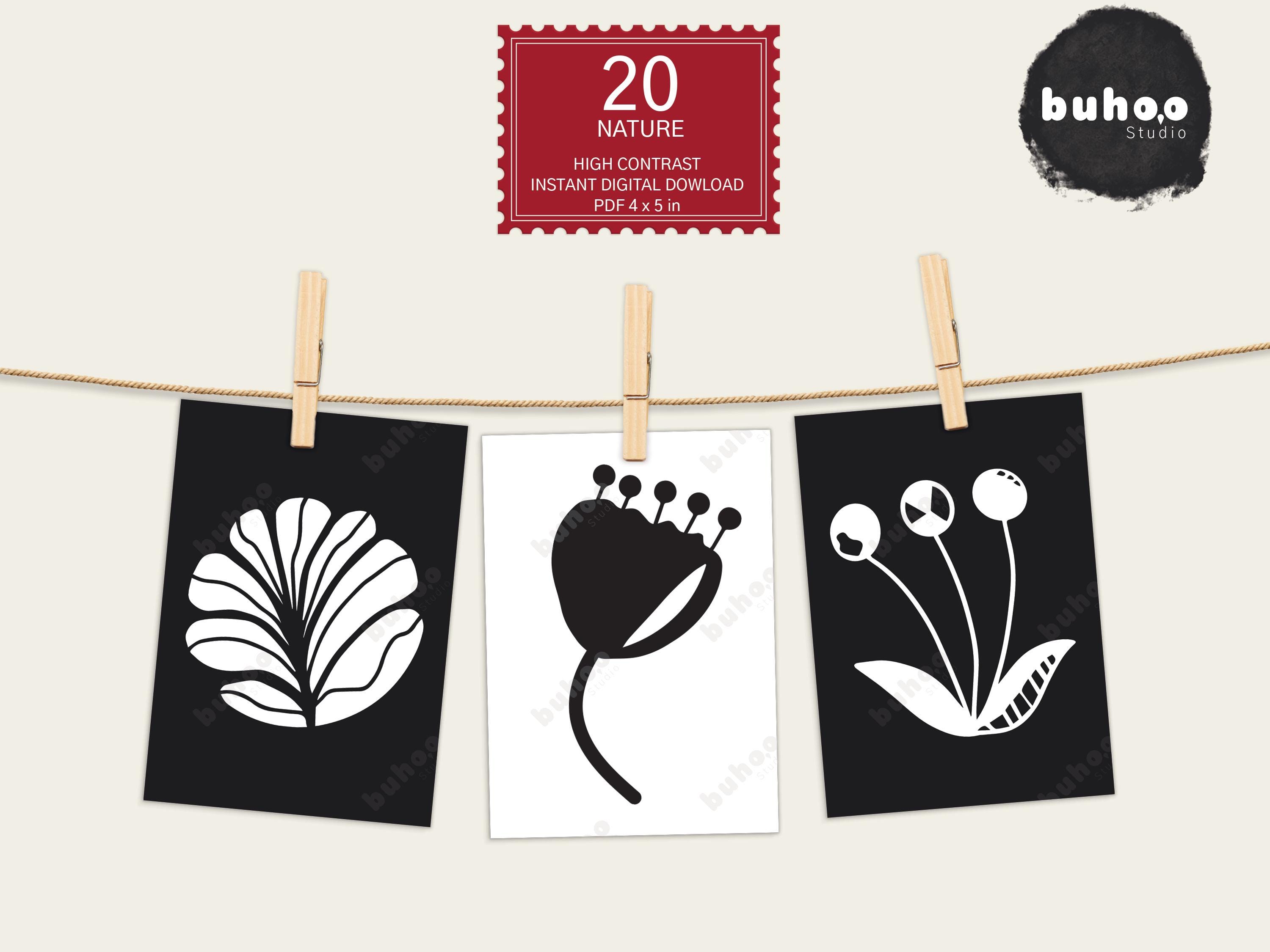 Nature Flash Cards Printable Templates / Hand Painted Montessori Cards ...