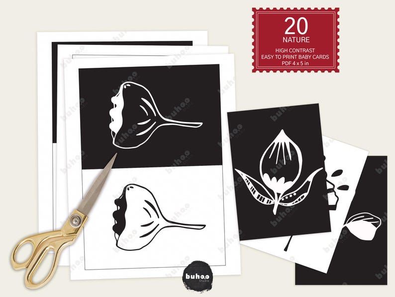 Nature Flash Cards Printable Templates / Hand Painted Montessori Cards ...