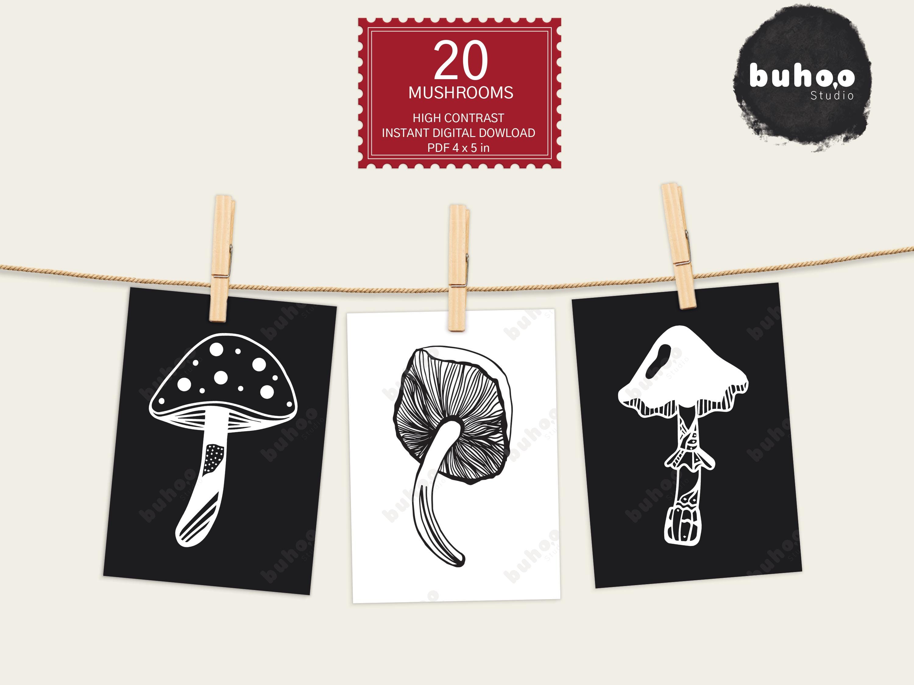 Mushrooms Flash Cards Printable Templates/hand Painted Montessori Cards ...
